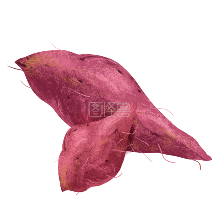 图怪兽原创元素白露风俗食物番薯-背景素材图片-图怪兽