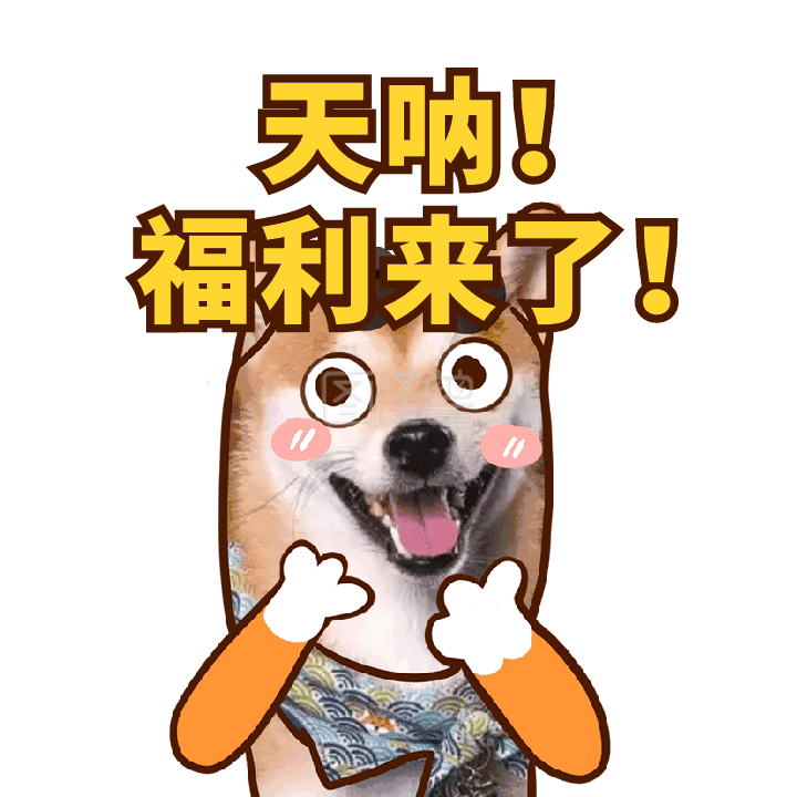 期待表情包-小狗期待可爱萌宠福利来了gif表情包在线GIF动图制作-图怪兽