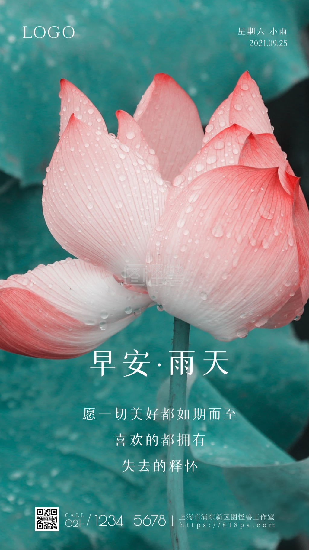 早安雨天-雨天早安荷花白色简约风摄影图海报在线图片制作-图怪兽