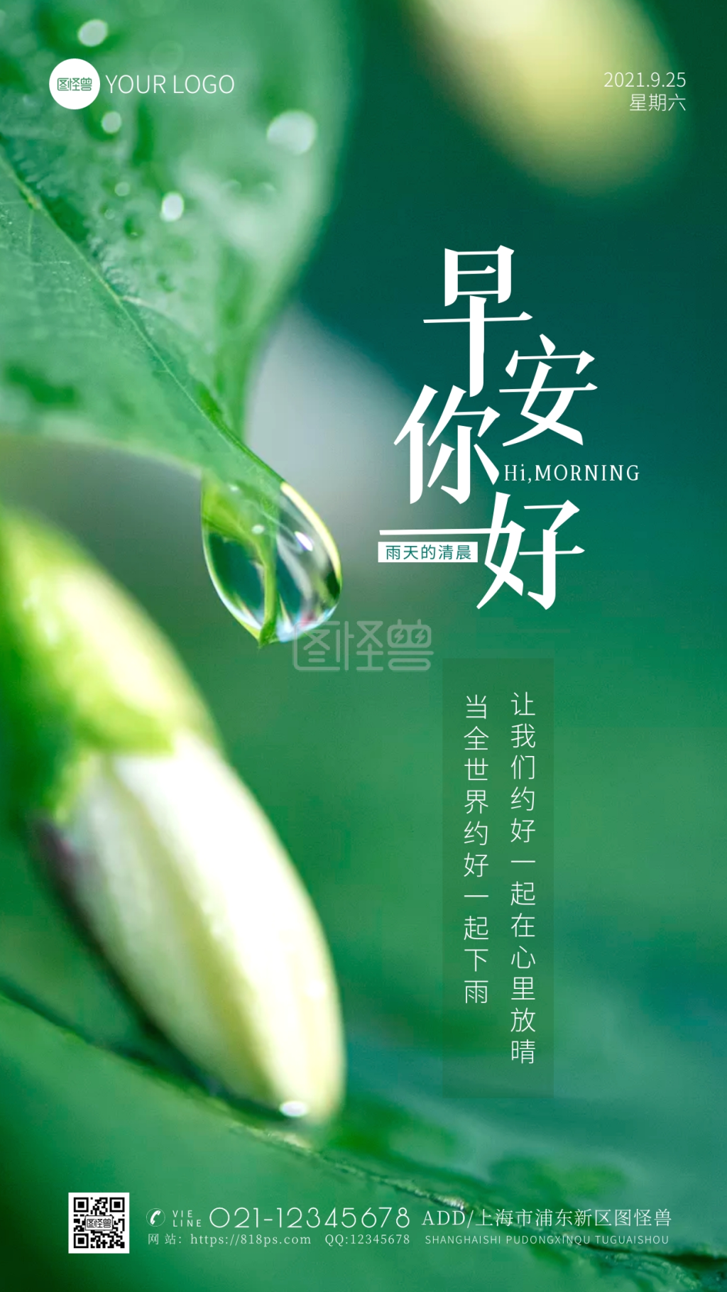 早安雨天-雨天早安树叶背景绿色简约风摄影图海报在线图片制作-图怪兽